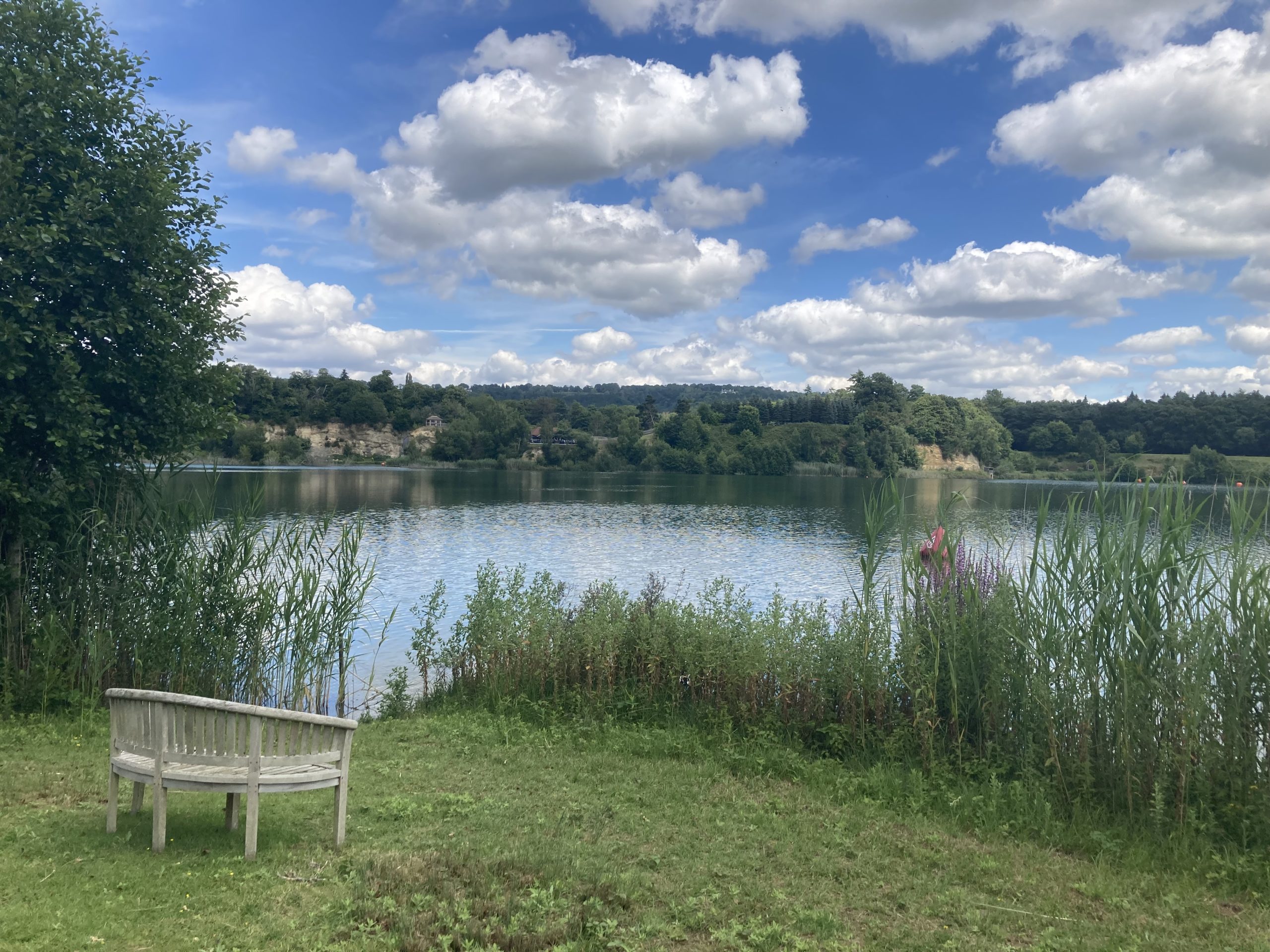 Some Examples of Our 2024-25 Events - NWR